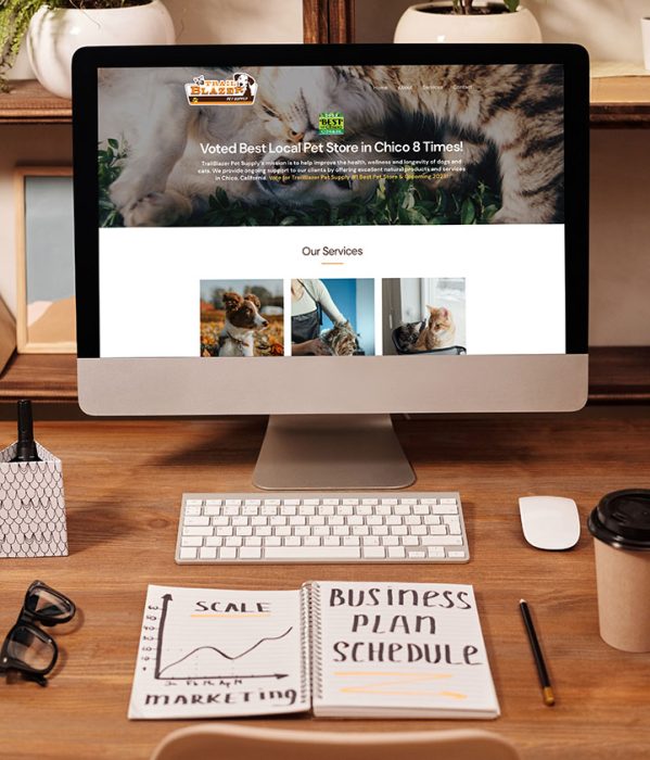 Chico Web Design: Websites, Logos, Branding, Marketing, Hosting